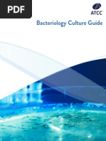 Bacteriological Analytical Manual (BAM) - FDA | PDF | Polymerase Chain ...