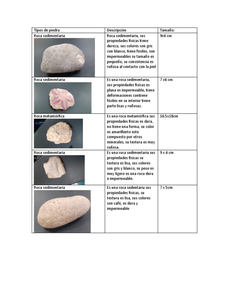 Tipos de Rocas: Sedimentarias y Metamórficas | PDF