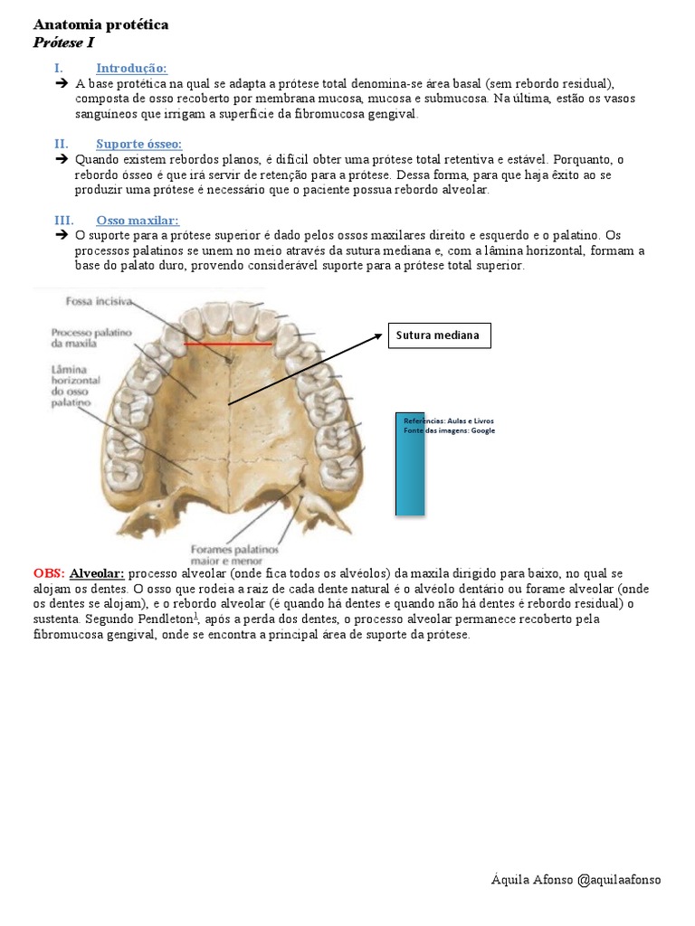 00 Anatomia Protetica Protese Total 1 @aquilaafonso | PDF | Dente | Prótese
