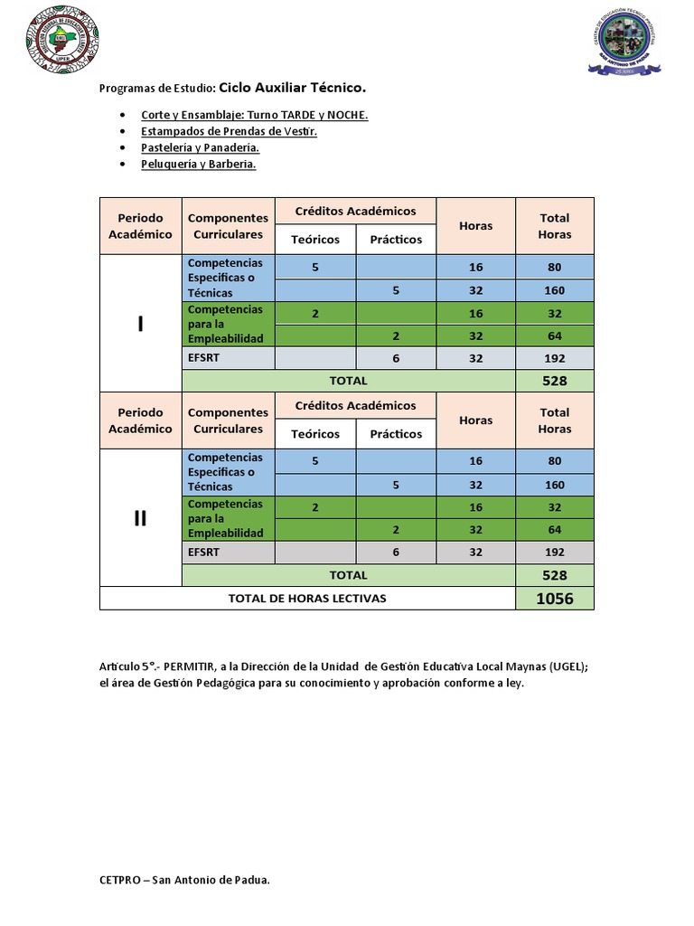 Programas de Estudio Ciclo Auxiliar Técnico y Tecnico | PDF