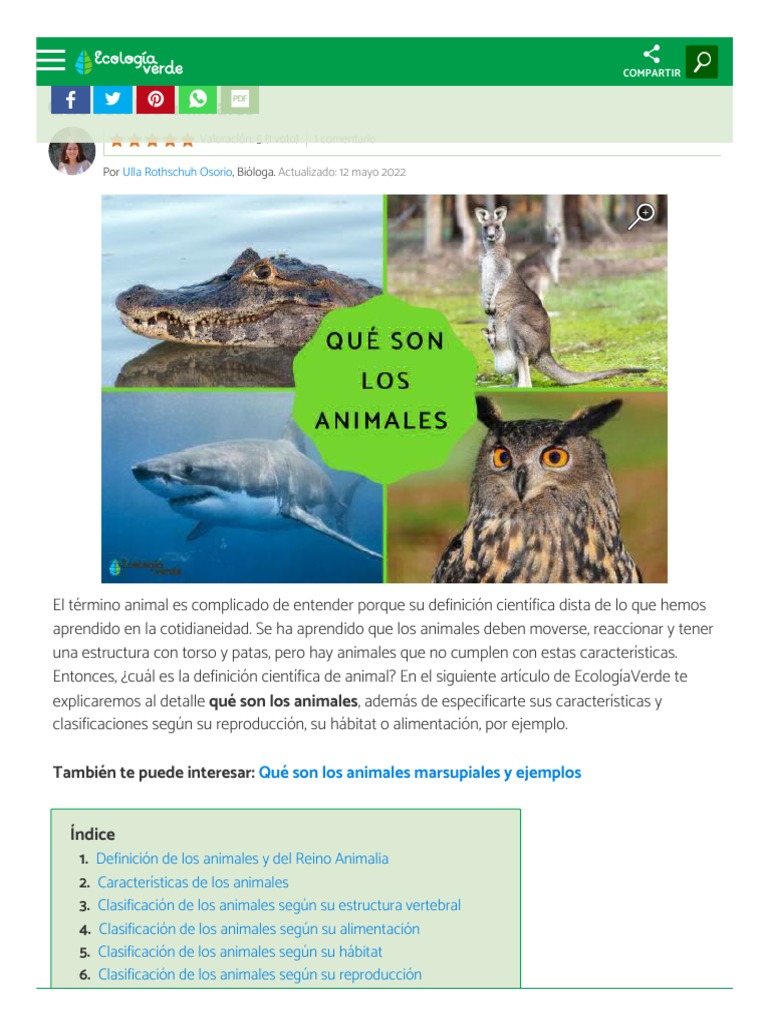 Qué Son Los Animales - Definición, Características y Clasificación ...