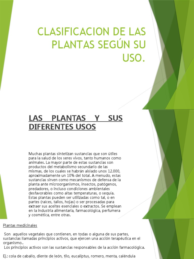 Clasificacion de Las Plantas Según Su Uso | PDF | Plantas medicinales ...