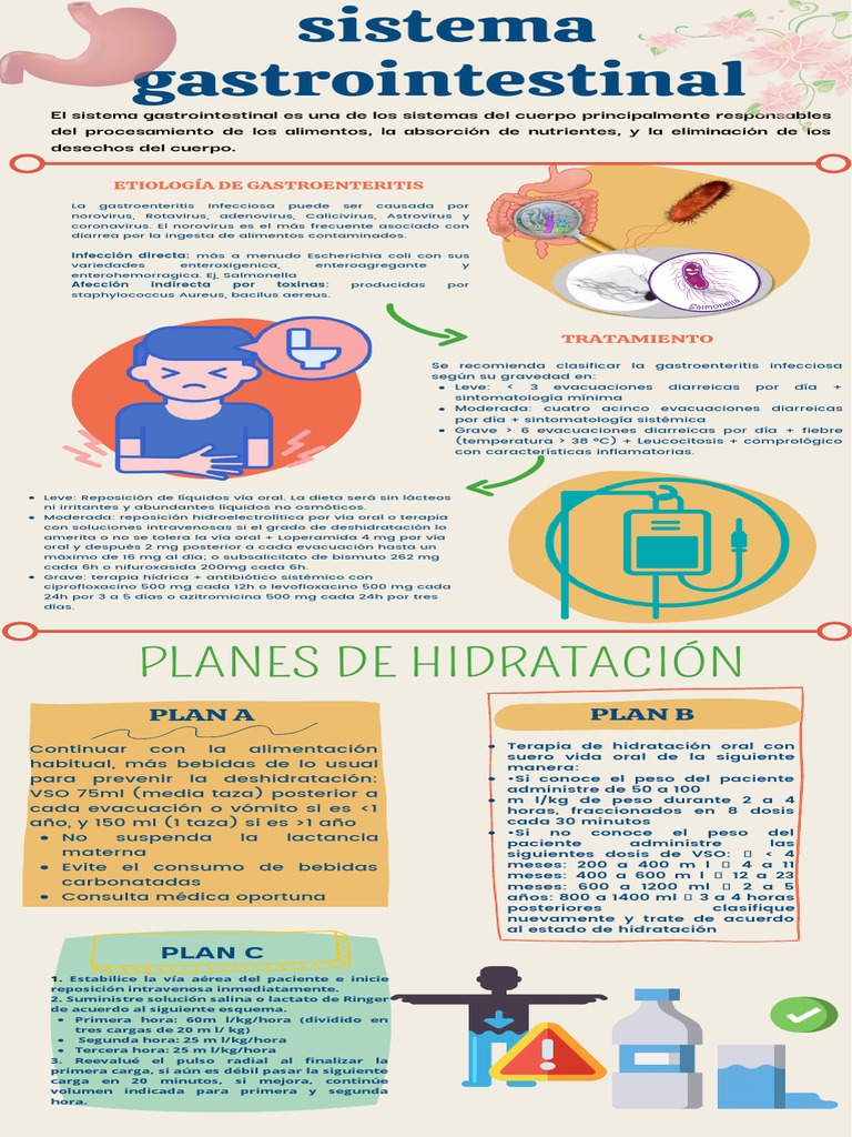 Sistema Gastrointestinal. Infografia | PDF | Diarrea | Enfermedades y ...