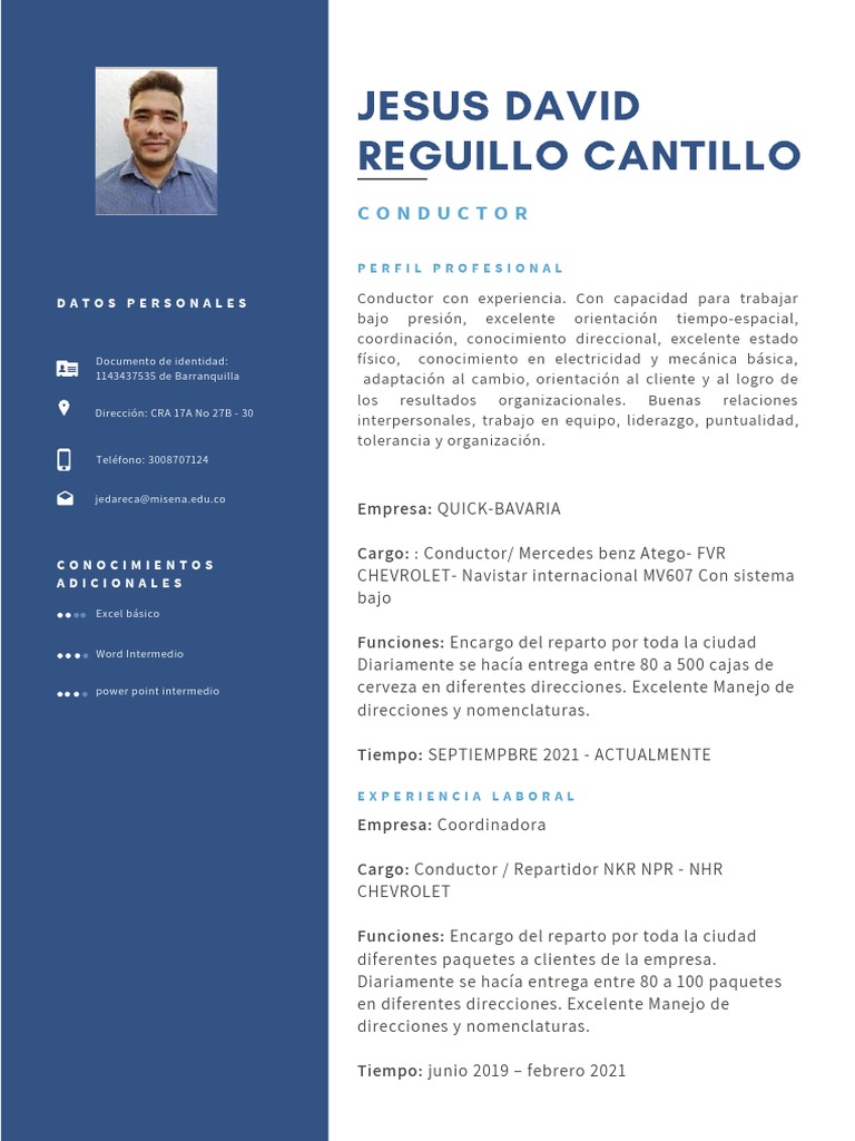 Perfil Profesional de Conductor Experto | PDF