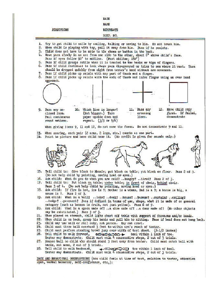 MMDST Tool Guide | PDF