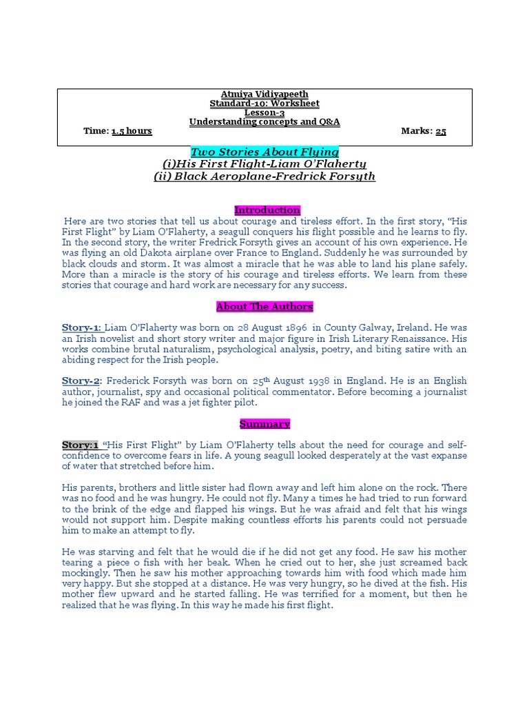 Two Stories of Flying Notes | PDF | Airplane