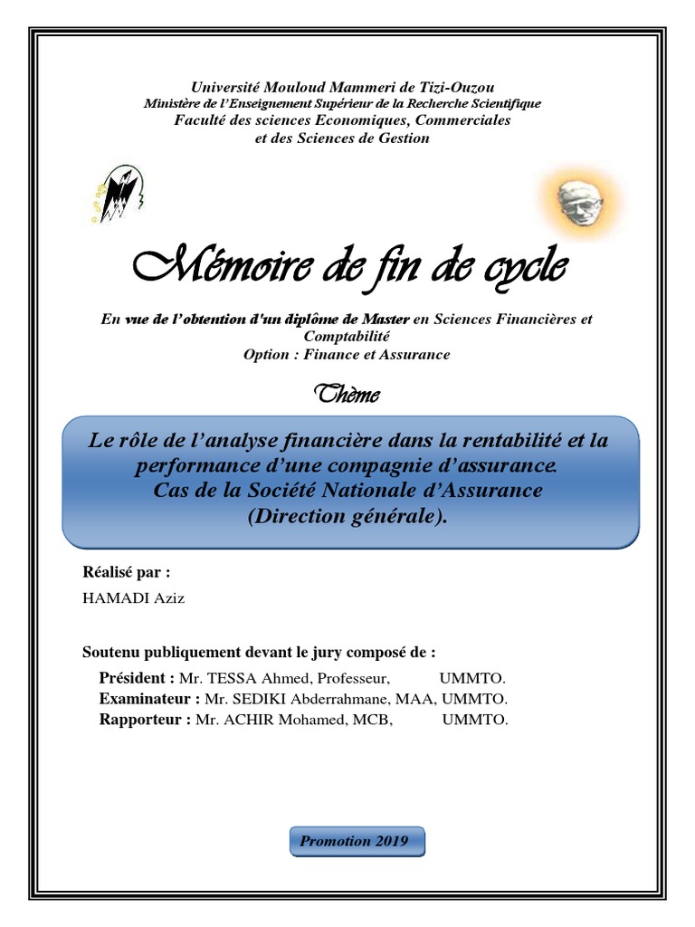 Mémoire Final | PDF | Assurance | Business