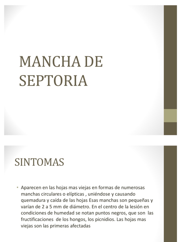 SEPTORIA | PDF | Hogar, jardinería y bricolaje | Ciencia y matemáticas