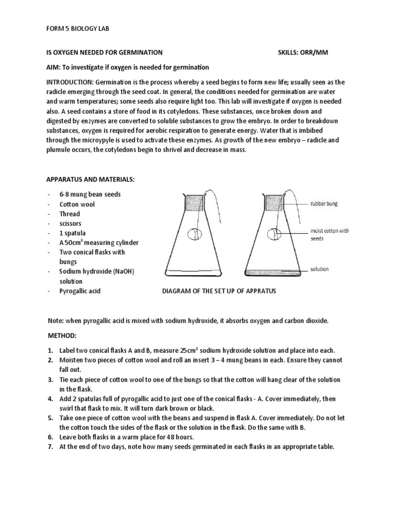 High School Biology Germination Lab | PDF | Sodium Hydroxide | Seed