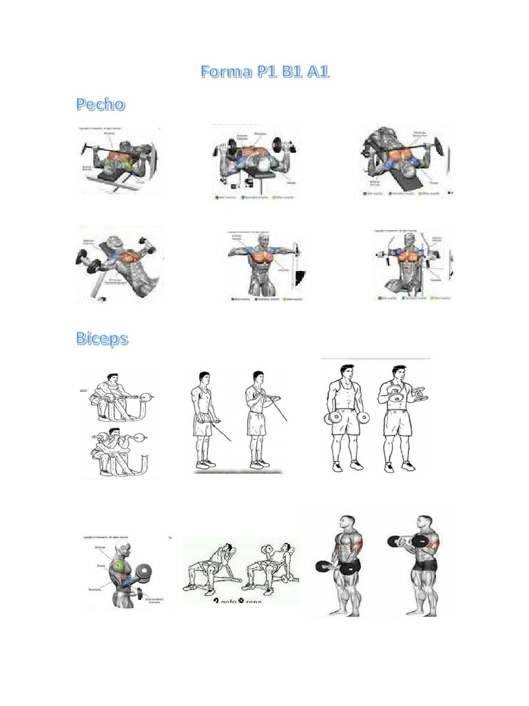 2-forma-p1-b1-a1-pdf