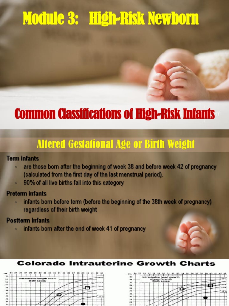 High-Risk Infant Classifications Guide | PDF | Preterm Birth | Diseases ...