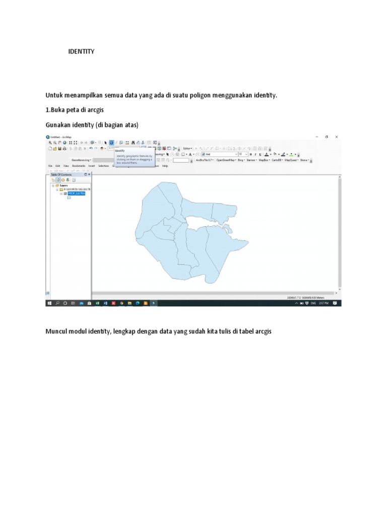 IDENTITY Di ARCGIS | PDF | Metode & Bahan Ajar | Komputer