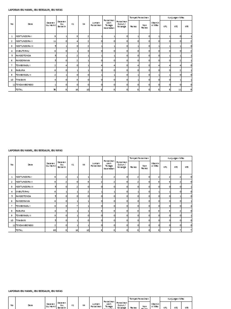 Format Laporan Ibu 2019 (Bumil, Bulin, Nifas) | PDF