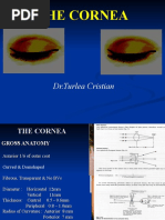 CCLRU Grading | PDF | Social Science