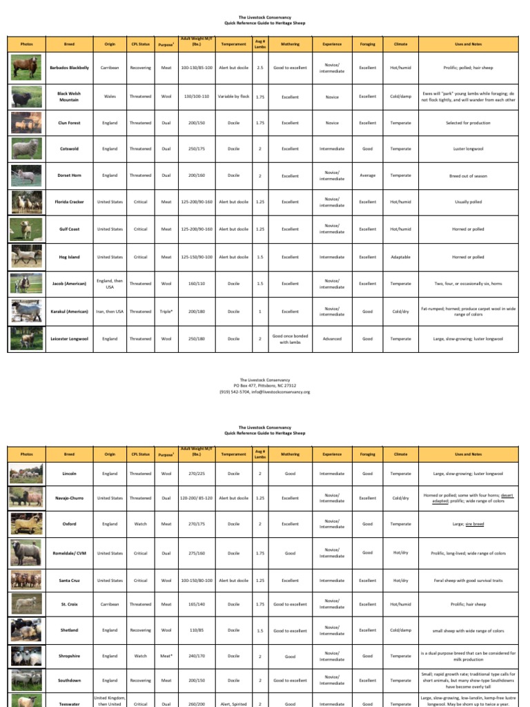 The Livestock Conservancy Quick Reference Guide To Heritage Sheep ...