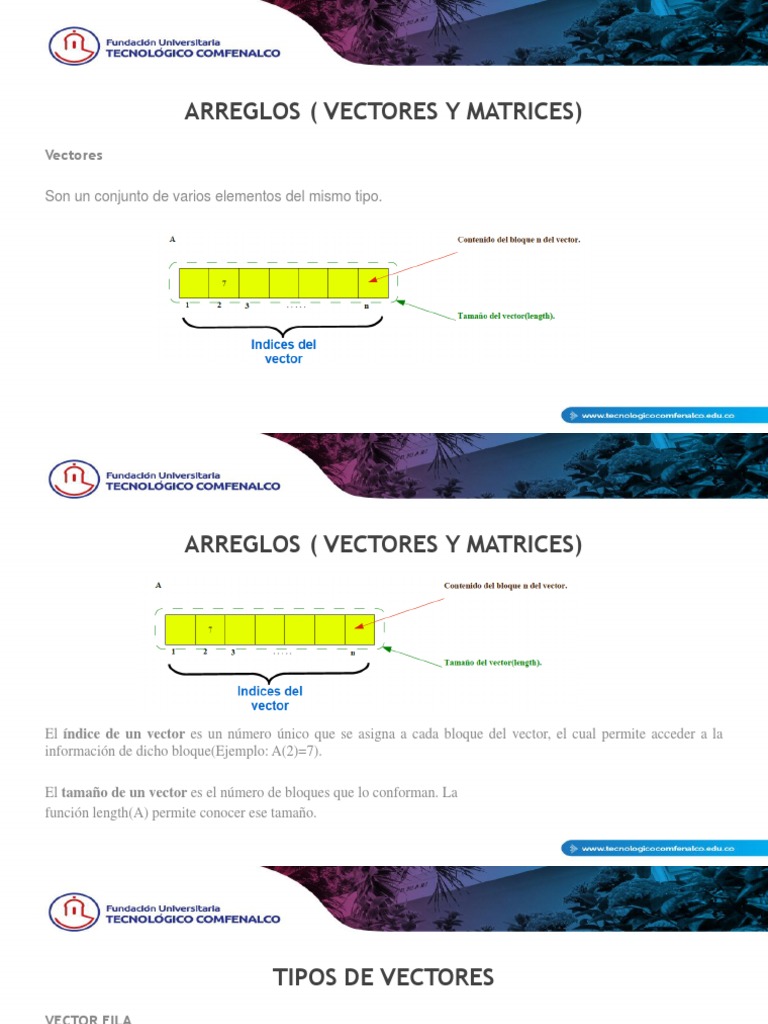 Arreglos (Vectores y Matrices) | PDF Arreglos (Vectores y Matrices) | PDF