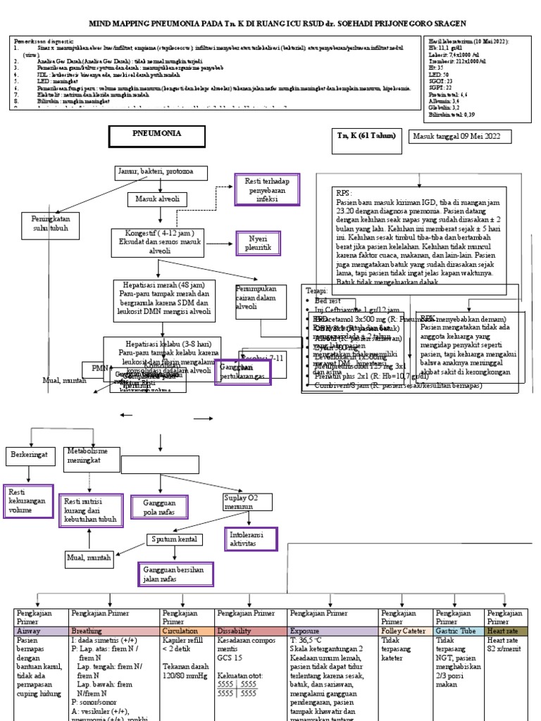 Mind Mapping Pneumonia 2 | PDF