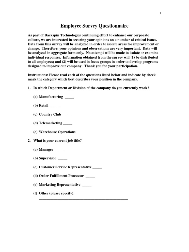 Employee Survey Questionnaire Form | PDF | Employment | Economies