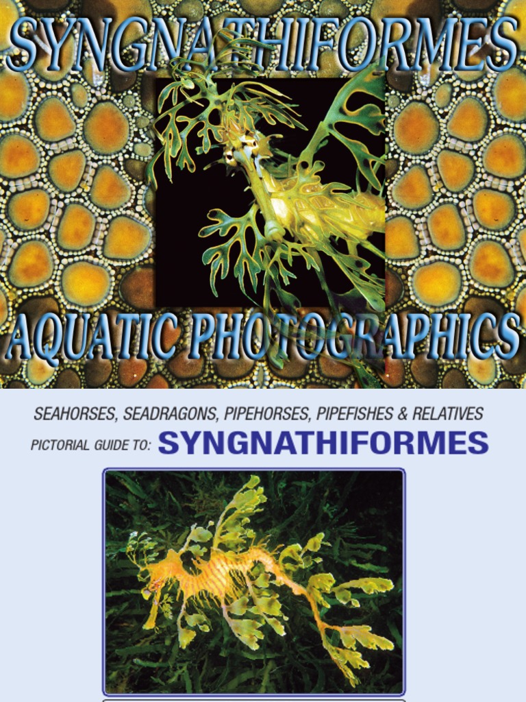 Seahorse Book | PDF | Species | Organisms