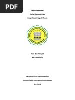 LP Keperawatan Jiwa - Halusinasi | PDF