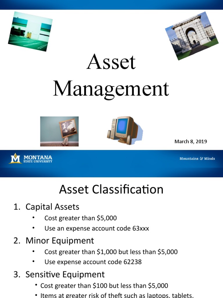 Asset Management Guidelines and Procedures | PDF | Radio Frequency ...