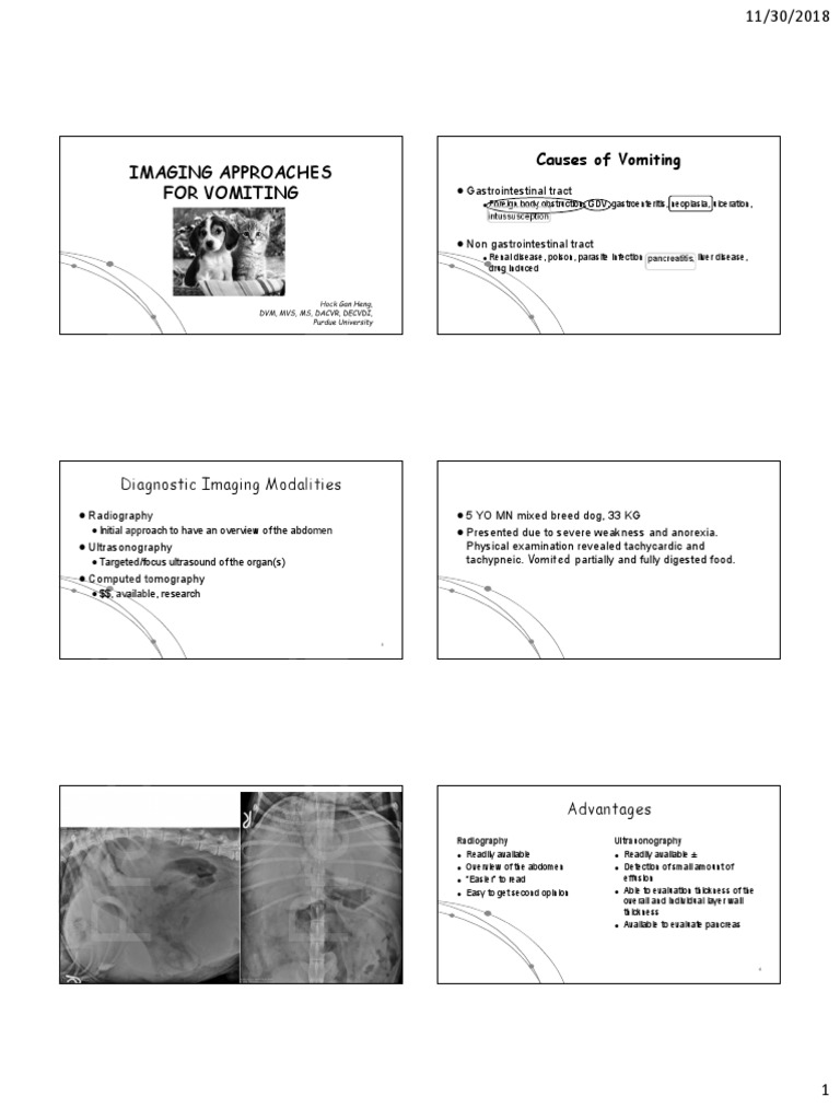 Hock Gan Heng Lecture 3 Imaging Approaches For Vomiting Dogs and Cats ...