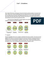 Ap Biology Review One Pagers | PDF