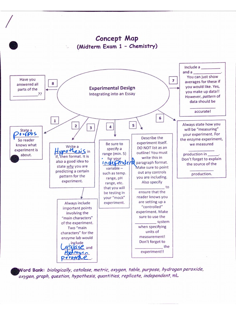 #30 Concept Map Exam 1 | PDF