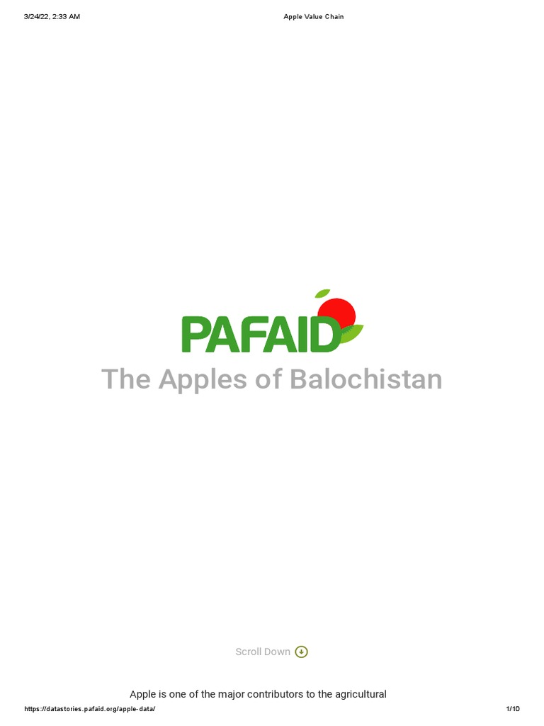 Apple Value Chain | PDF | Apple | Economies