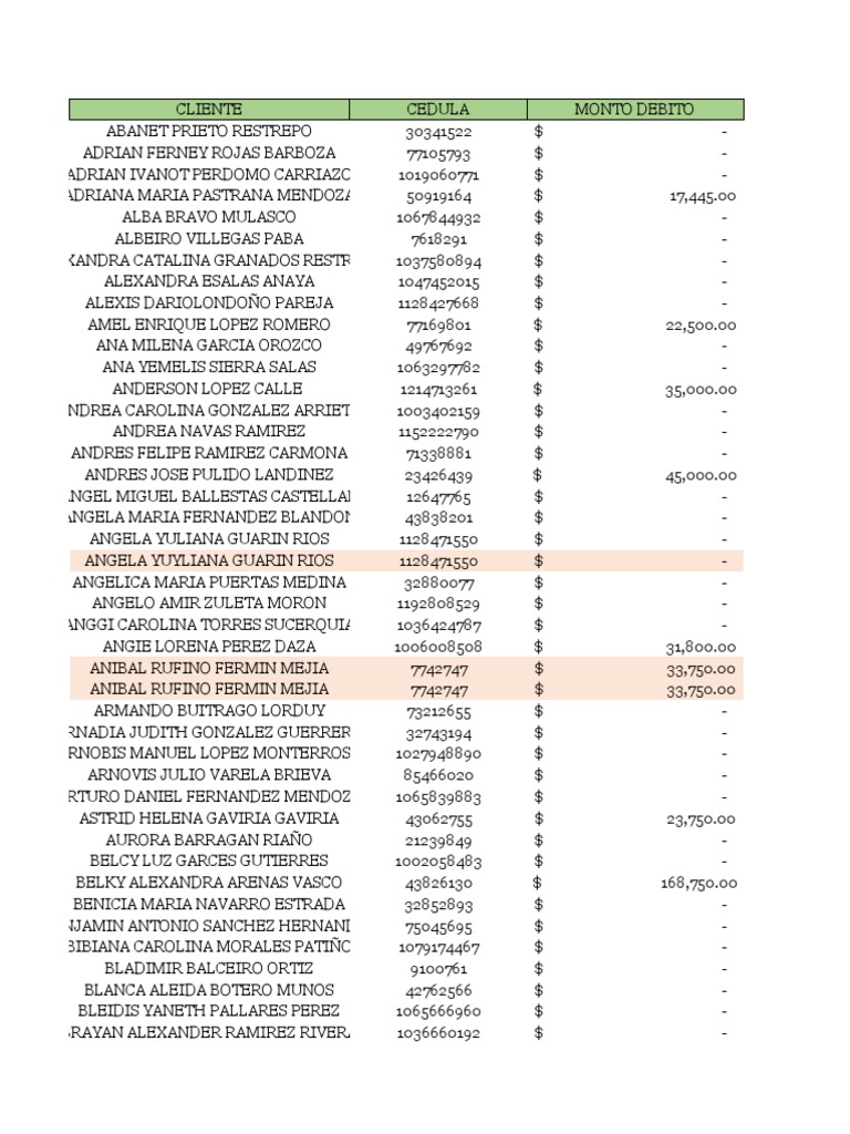 Clientes Activos | PDF