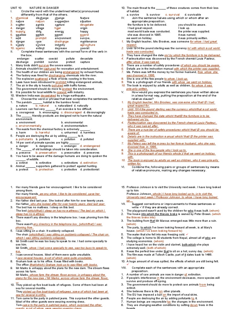 Unit 10 - BT MLH 11 - Key | PDF | Rainforest | Forests