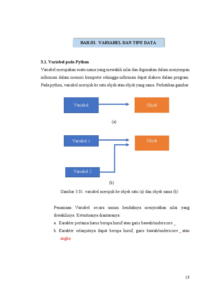 Variabel dan Tipe Data dalam Python | PDF