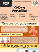 Anatomia de Via Aerea Inferior | PDF | Pulmón | Anatomía