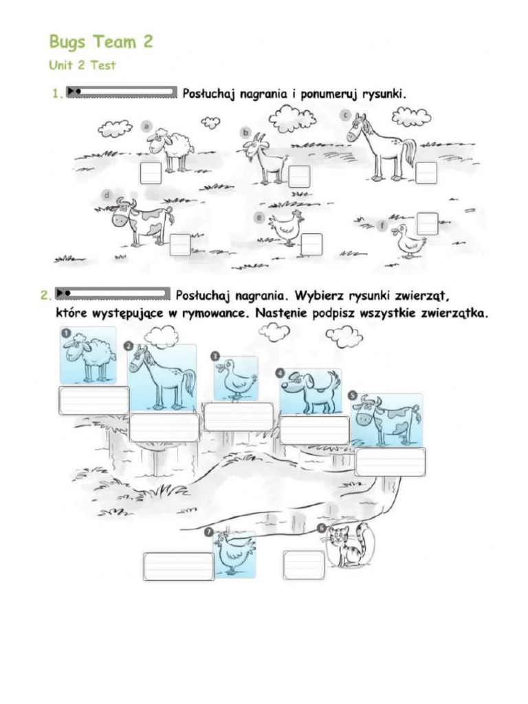 Bugs Team 2 Unit 2 Test 1 | PDF