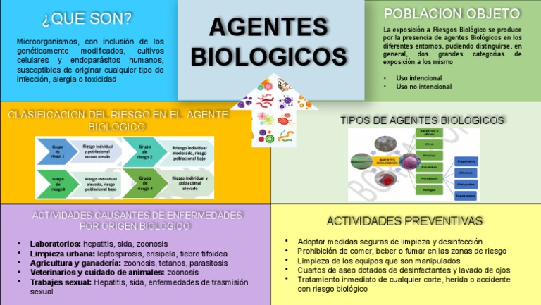Infografia Agentes Biologicos | PDF