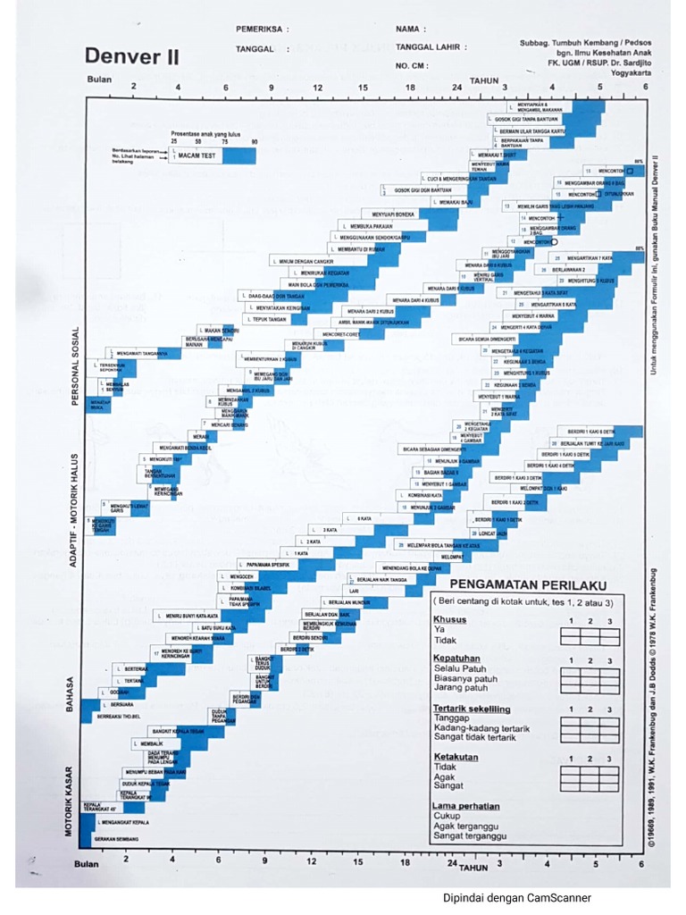 Form Denver II | PDF