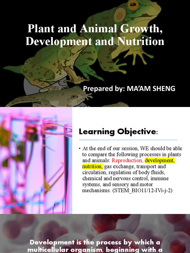 2-Plant and Animal Growth, Development and Nutrition | PDF | Embryo ...