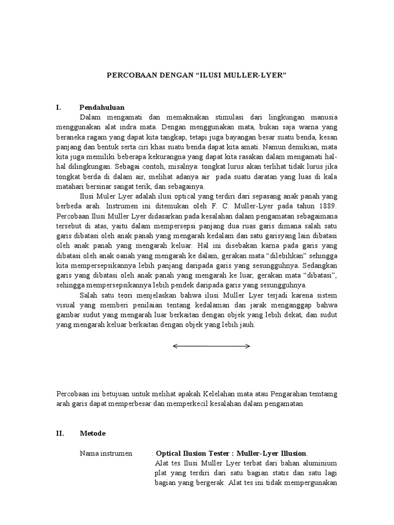 Ilusi Muller Lyer | PDF