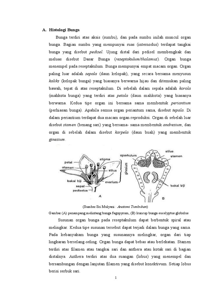 Anatomi Bunga | PDF