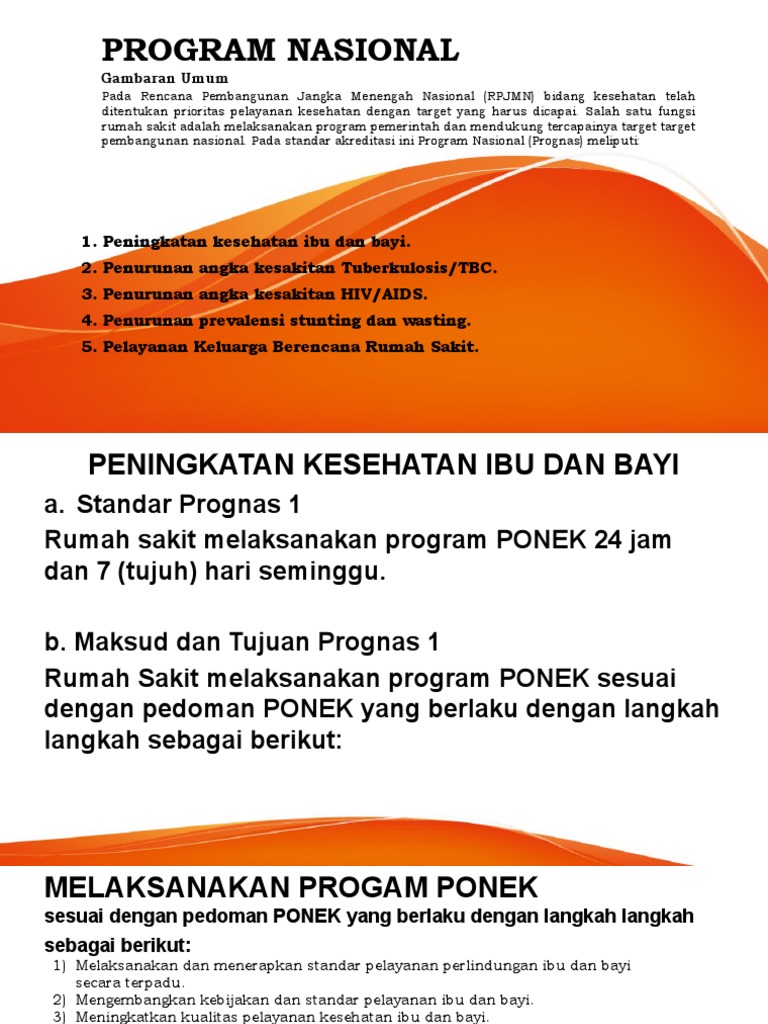 Program Nasional | PDF