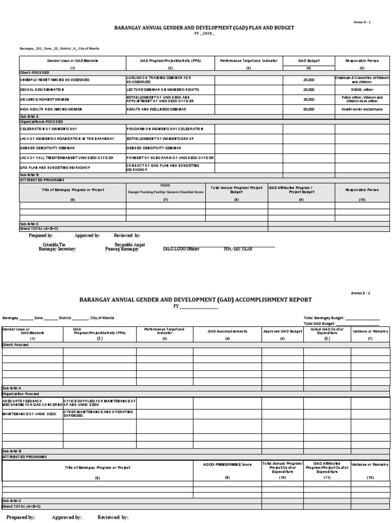 Barangay Annual Gender and Development (Gad) Plan and Budget | PDF ...