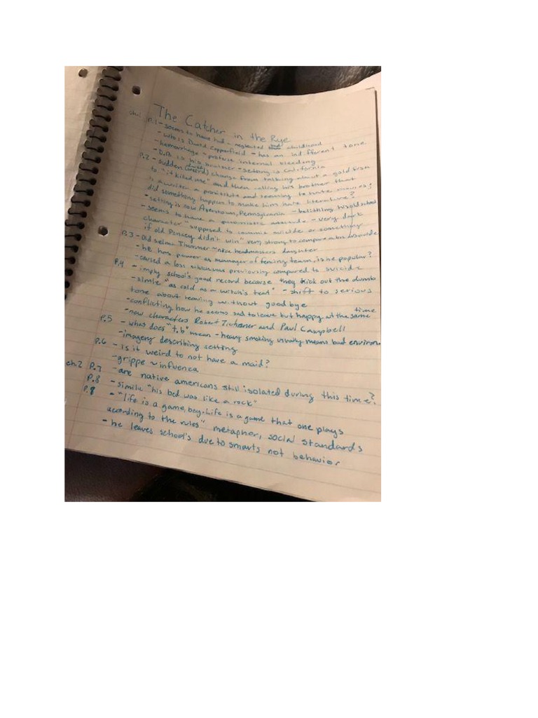 Catcher in The Rye Annotations | PDF