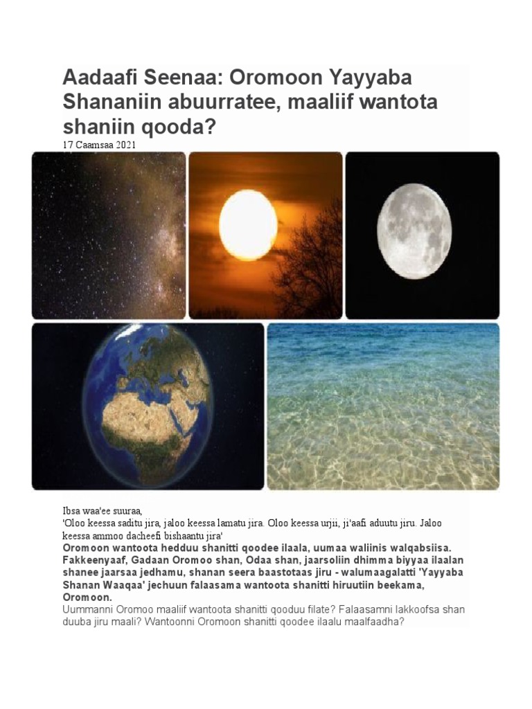 Aadaafi Seenaa | PDF