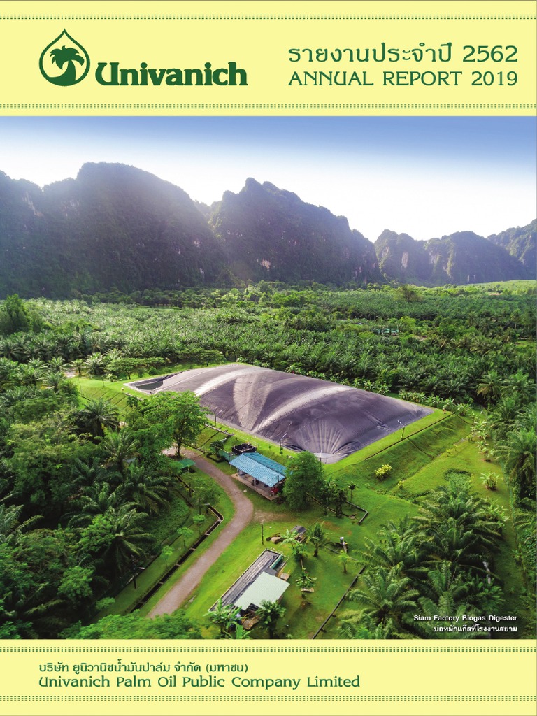 Univanich AR 2019 | PDF