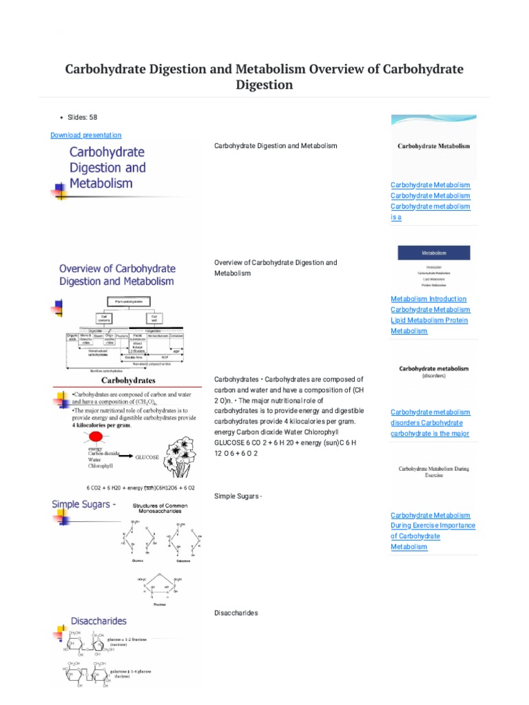 Carbohydrate Digestion and Metabolism Overview of Carbohydrate ...
