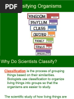 Classificationworkbook | PDF | Taxonomy (Biology) | Life