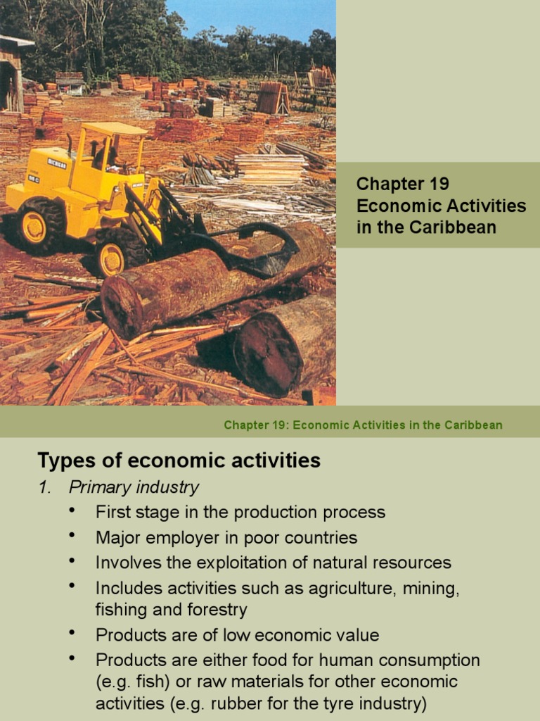 Chapter - 19 Economic Activities in The Caribbean | PDF | Foods | Economies