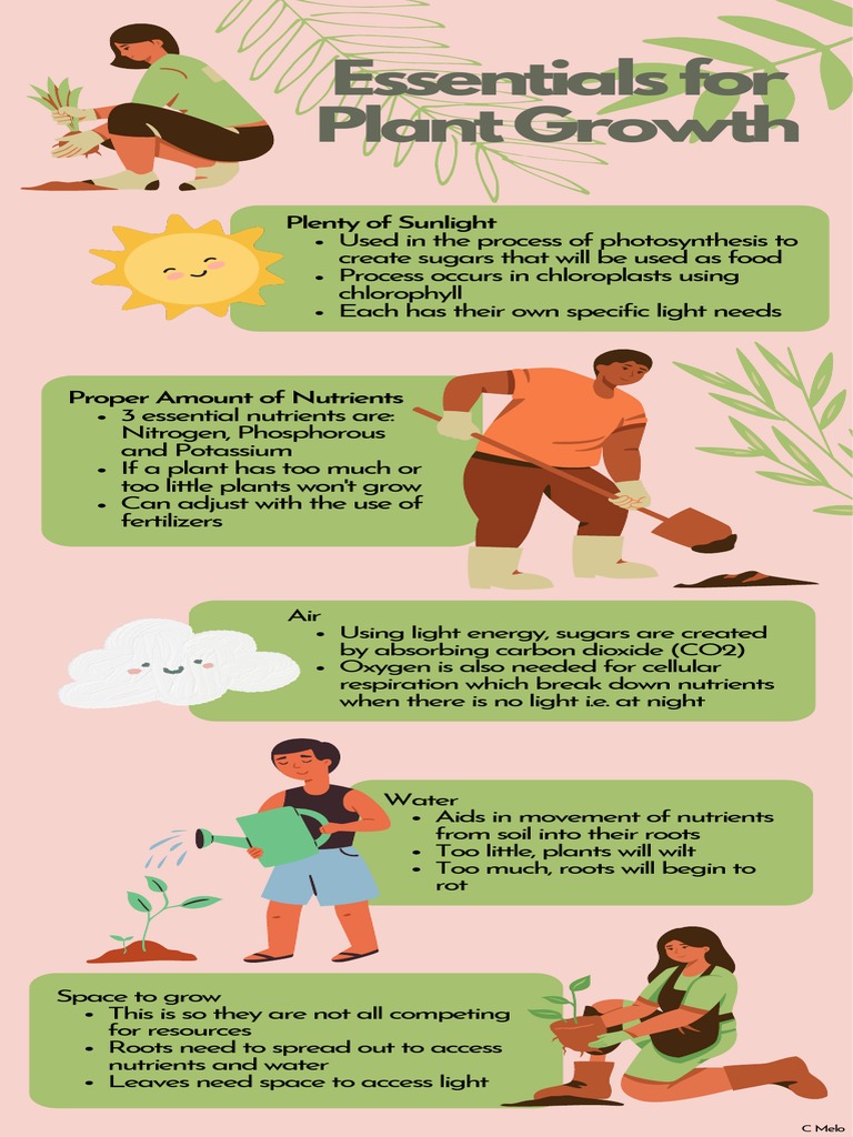 Essentials For Plant Growth | PDF
