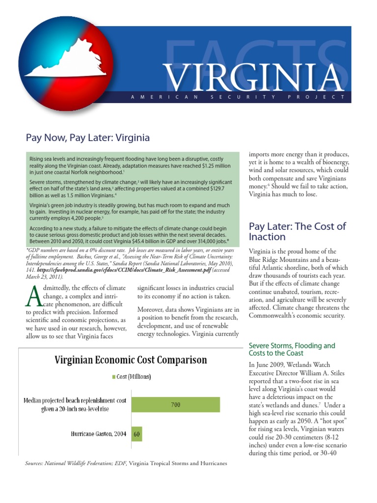 Virginia FINAL | PDF | Renewable Energy | Biomass