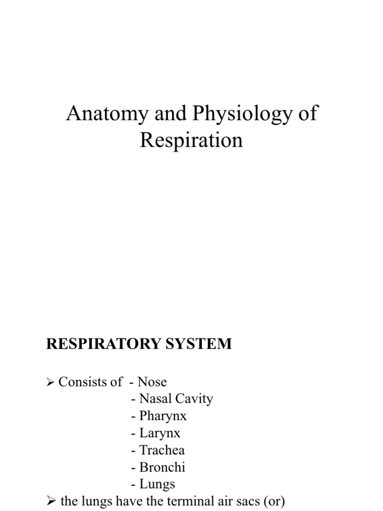 Anatomy and Physiology of Respiration | PDF | Lung | Respiratory System